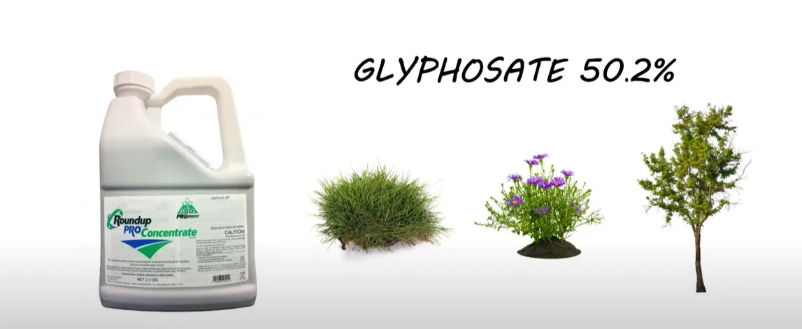 Ranger Pro Herbicide Dangers - Grass Killer